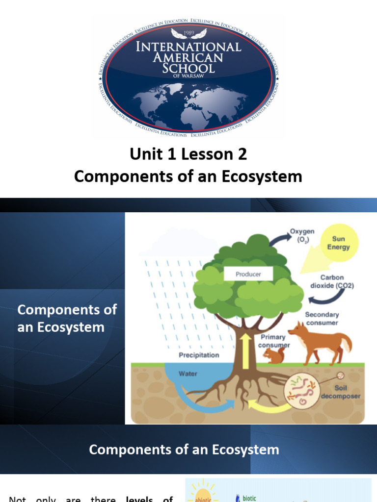 Unit 1.2 Components of An Ecosystem | PDF | Ecosystem | Plant Nutrition