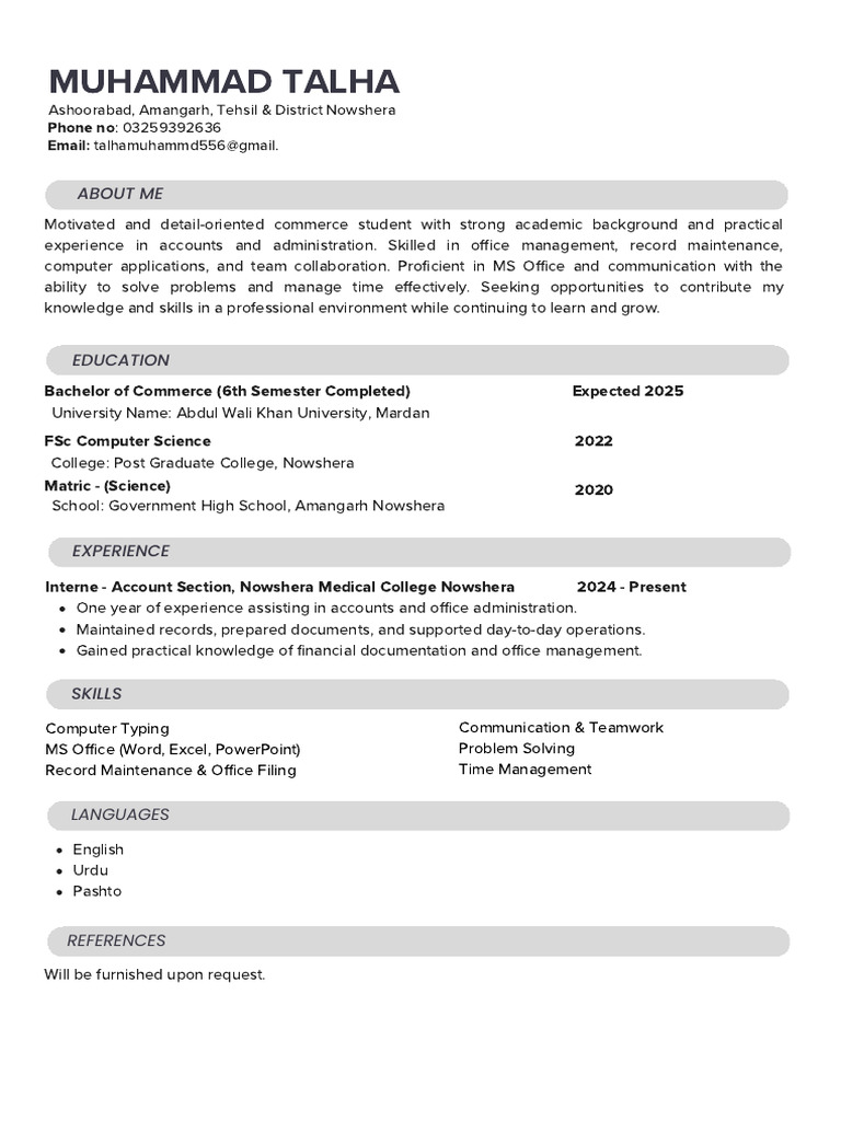 Talha CV 2025 | PDF