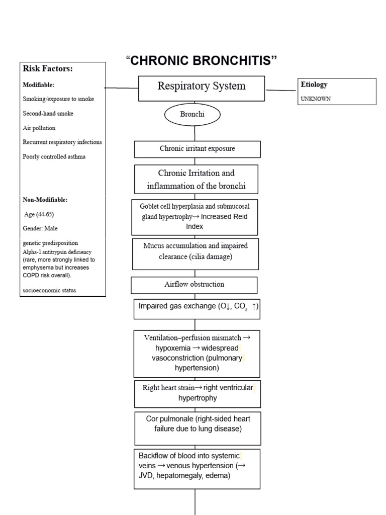 Chronic Bronchitis Risk Factors & Management | PDF | Pneumonia ...