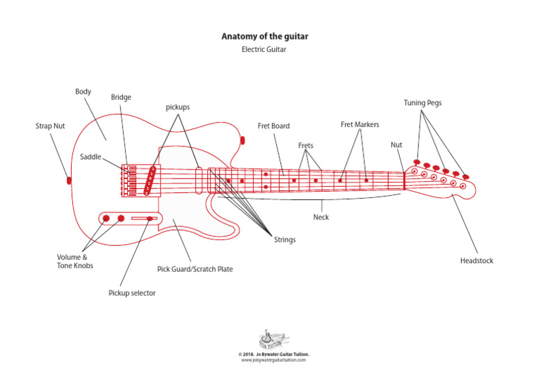 Labeled Diagram of Electric Guitar | PDF