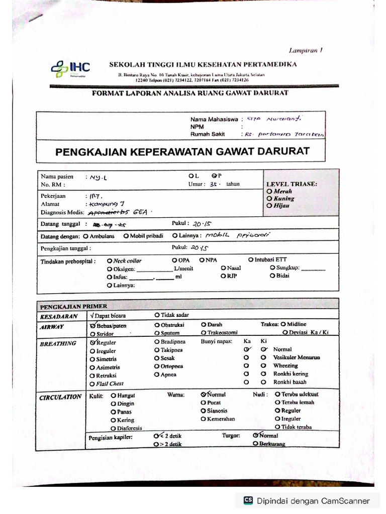Gea | PDF