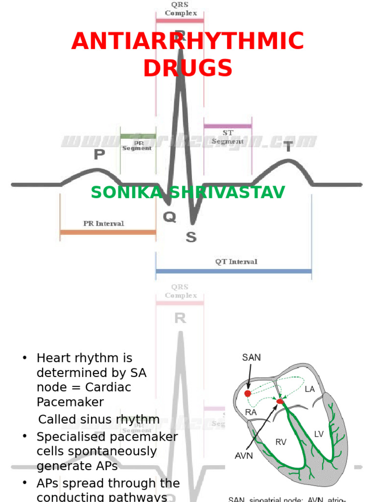 Antiarrhythmic Drugs | PDF | Heart | Cardiovascular System