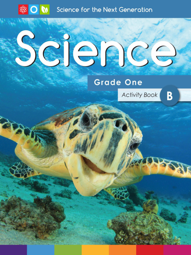 Science Activity Book - Grade 1, Book B | PDF