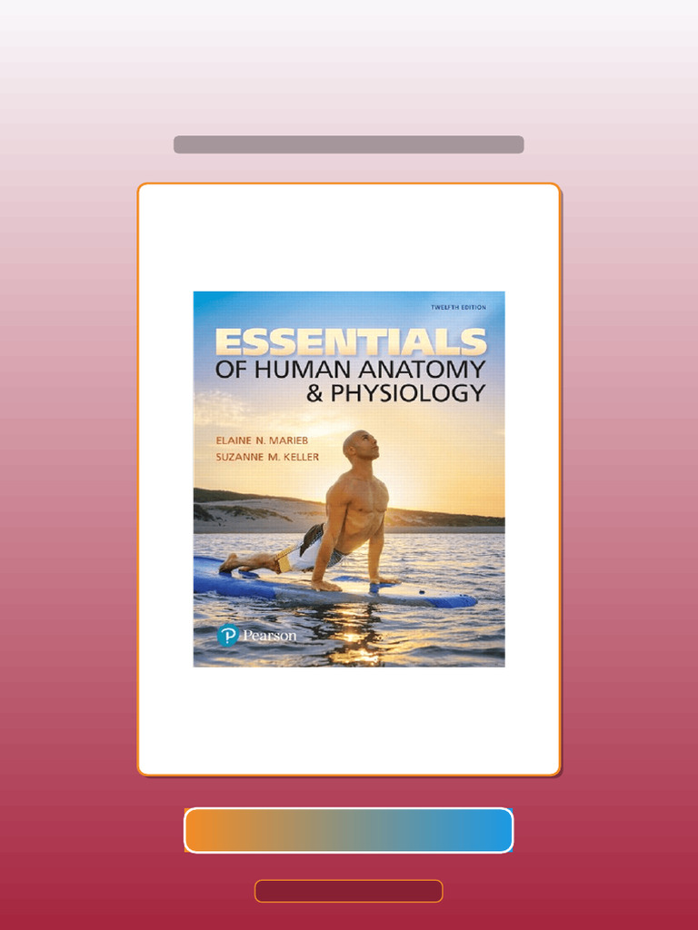Authorized Essentials of Human Anatomy and Physiology 12th Edition ...