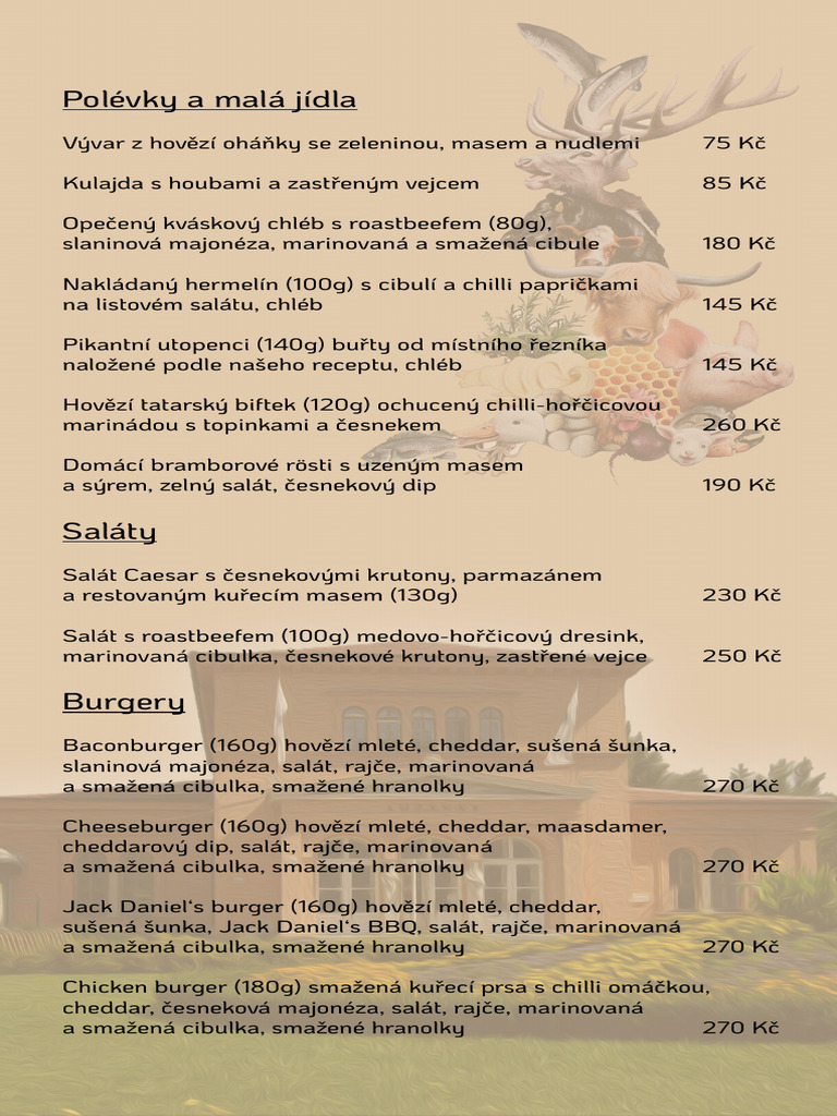 Menu CZ | PDF