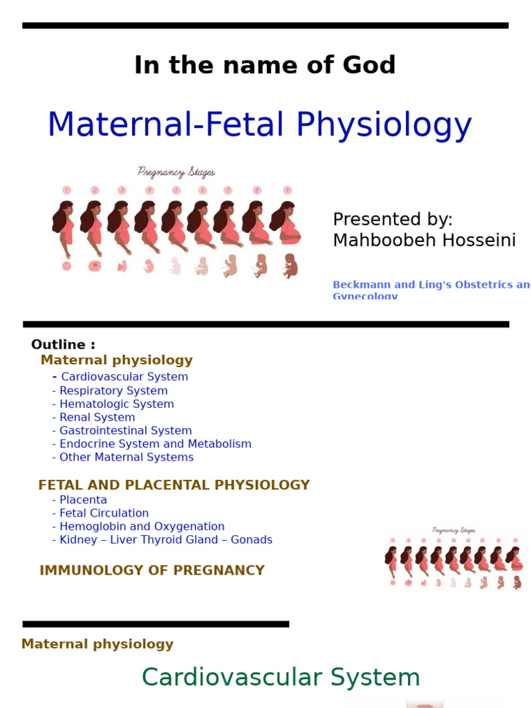 Maternal-Fetal Physiology Overview | PDF | Circulatory System | Fetus