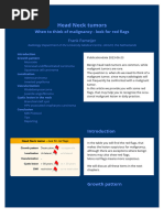 LifeStent Vascular Stent System Brochure (Bard) (BD Interventional ...