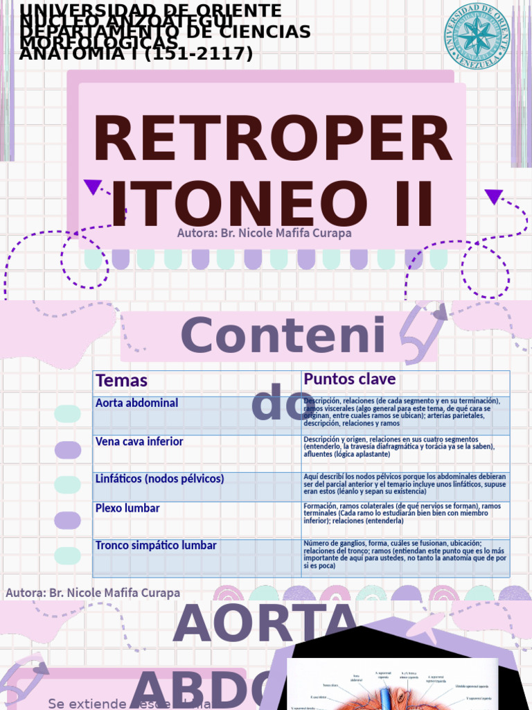 Anatomía del Retroperitoneo II | PDF | Abdomen | Aorta
