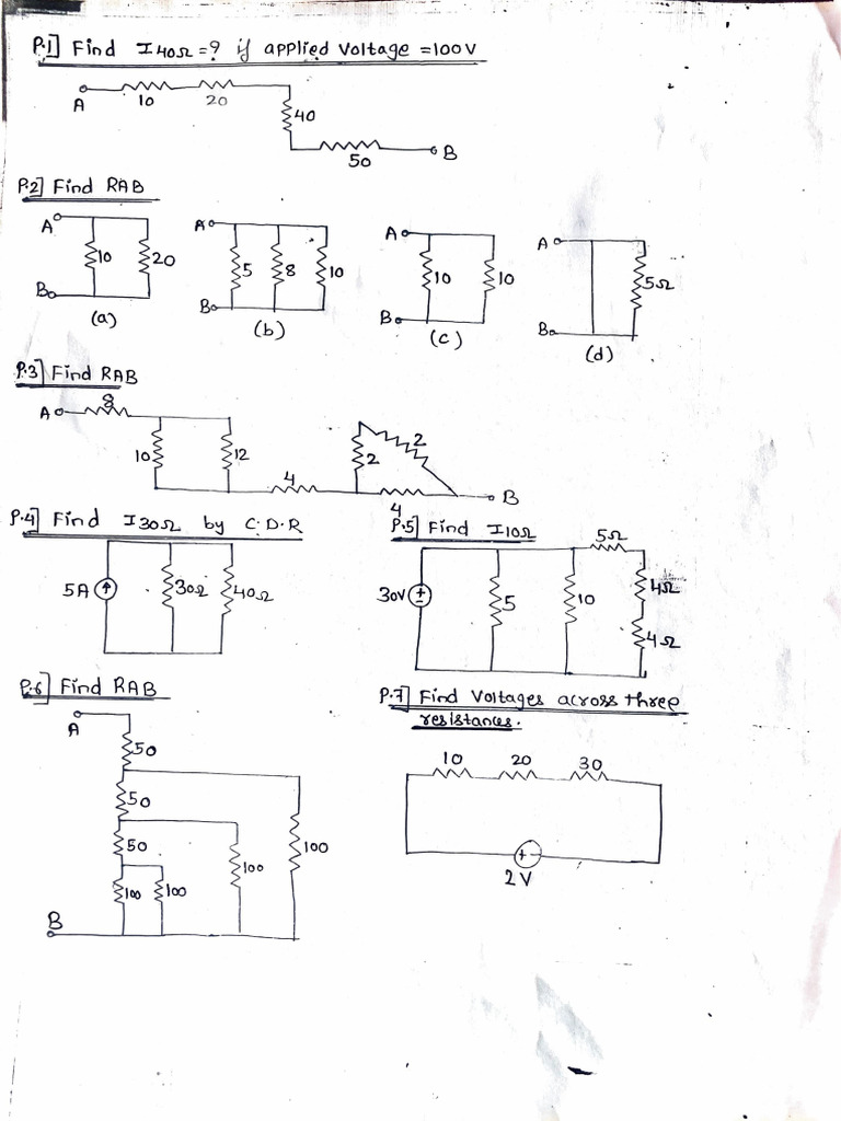 Bee Assignment | PDF