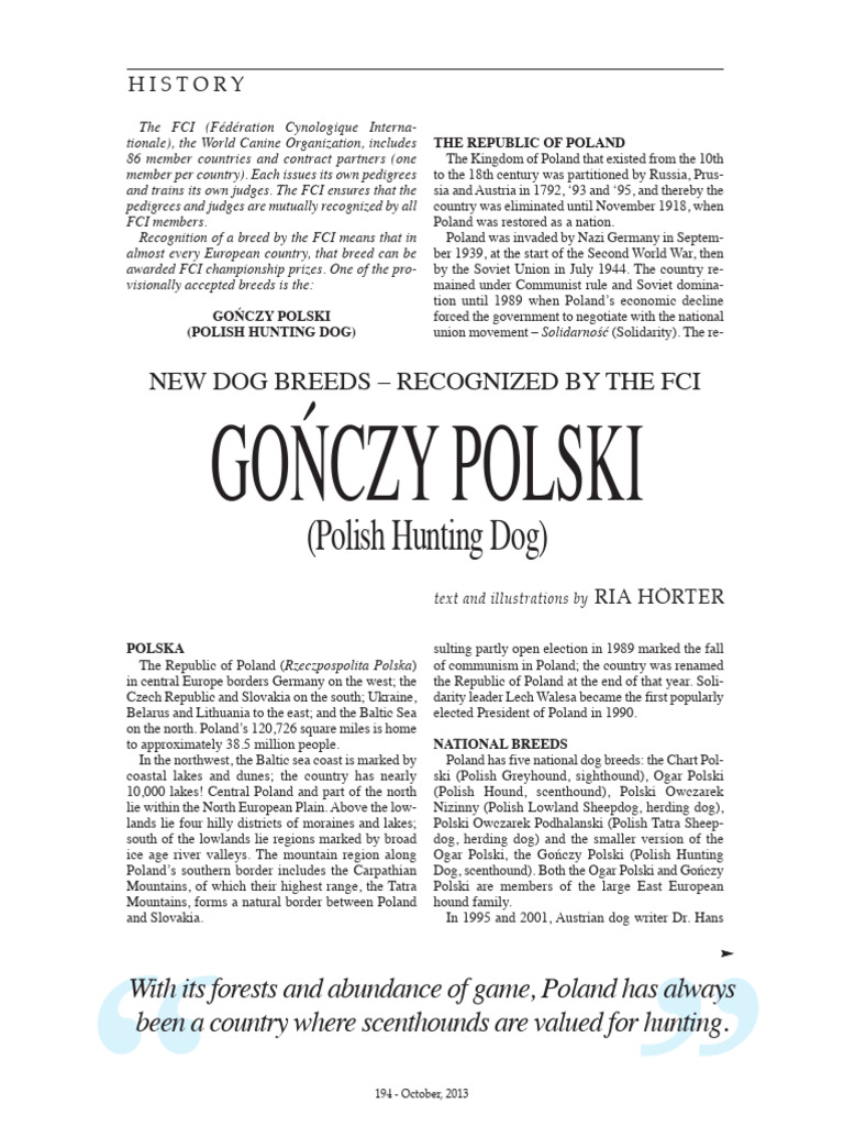 Historia Rasy Gonczy Polski | PDF | Dog Breeds | Dog Types
