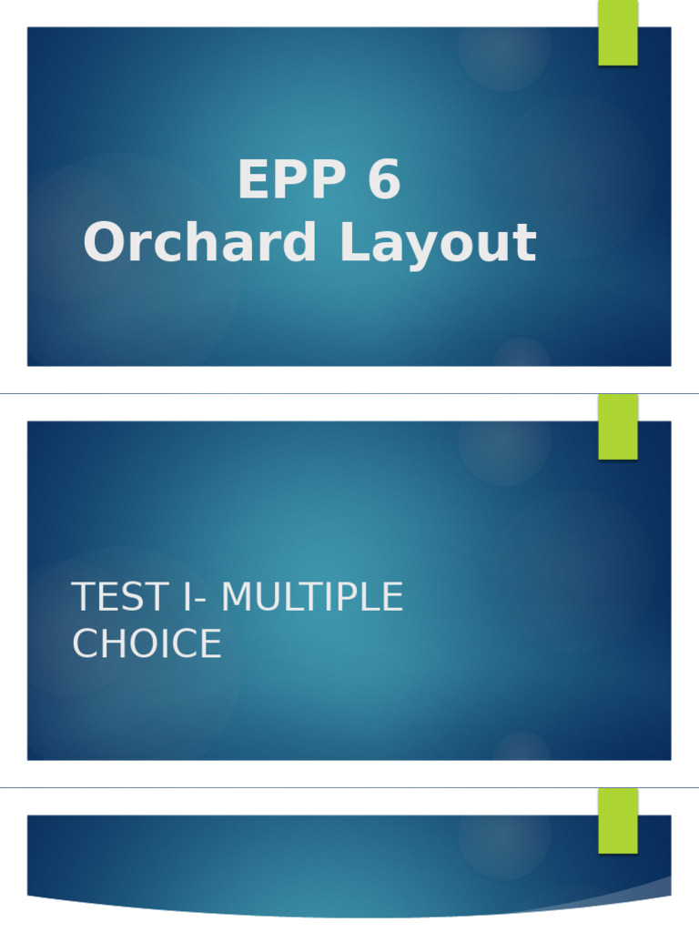 Epp 6-Orchard Layout Quiz | PDF