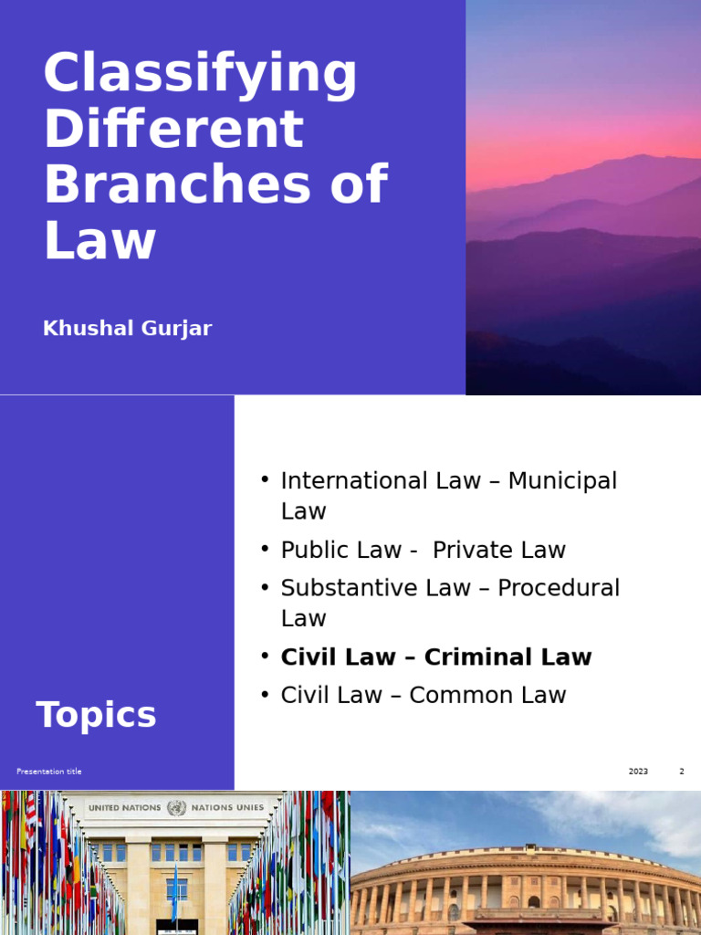 Overview of Law Branches Explained | PDF | International Law | Crimes