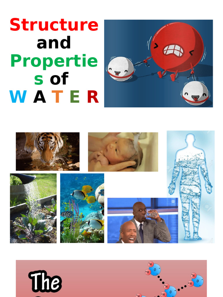 Properties and Structure of Water | PDF