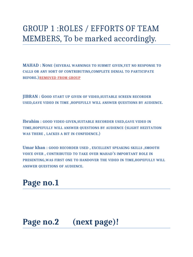 Team Member Contributions Overview | PDF