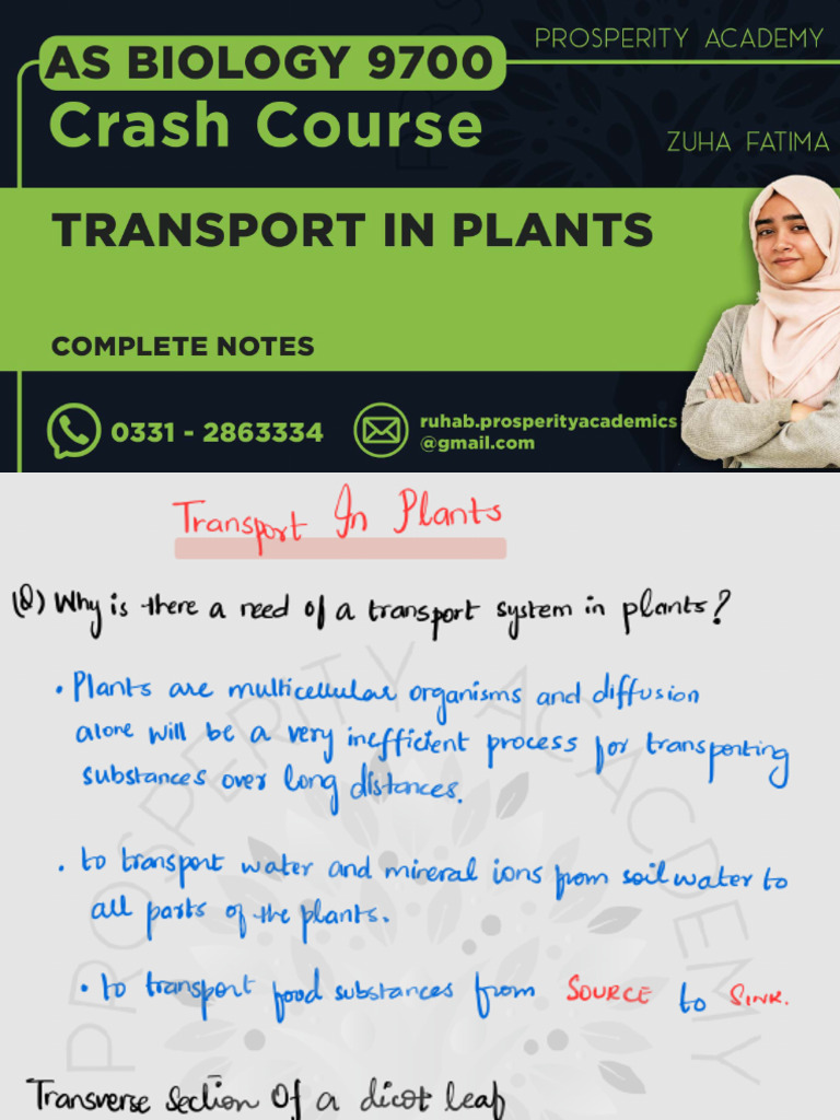 Transport in Plants | PDF