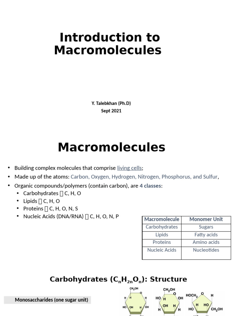 Introduction To Macromolecules 14000708 | PDF | Carbohydrates ...