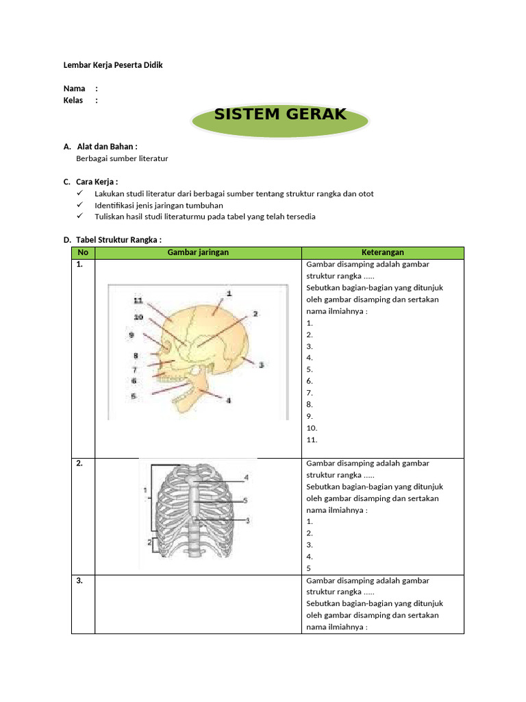 LKPD Sistem Gerak Lengkap | PDF