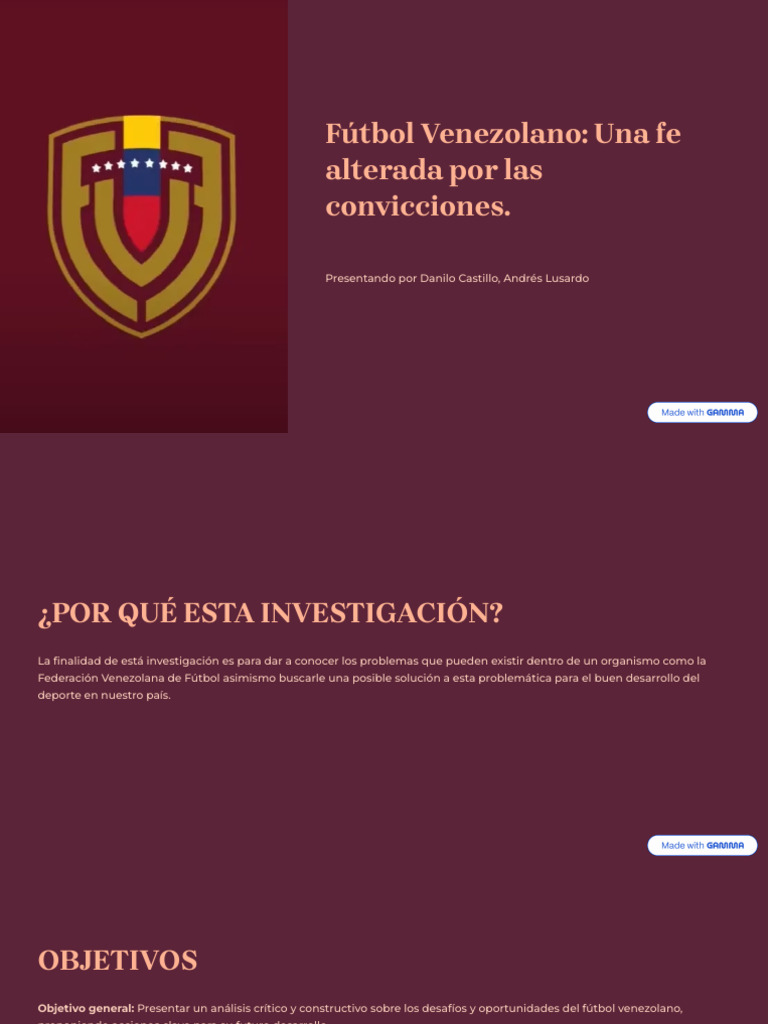 Presentacion FVF 2 | PDF