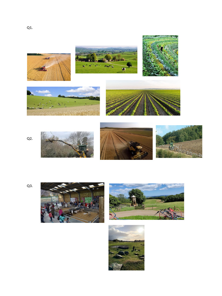Human Activity and Farming - HW | PDF
