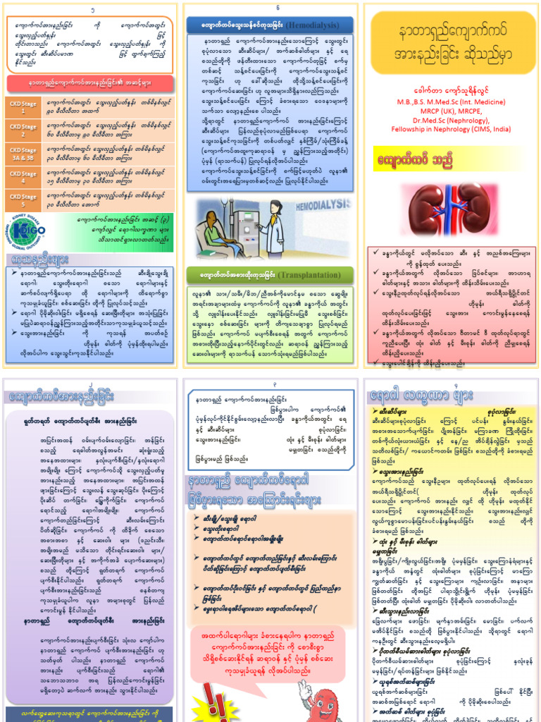 Health Education About Chronic Kidney Disease | PDF | Urology ...