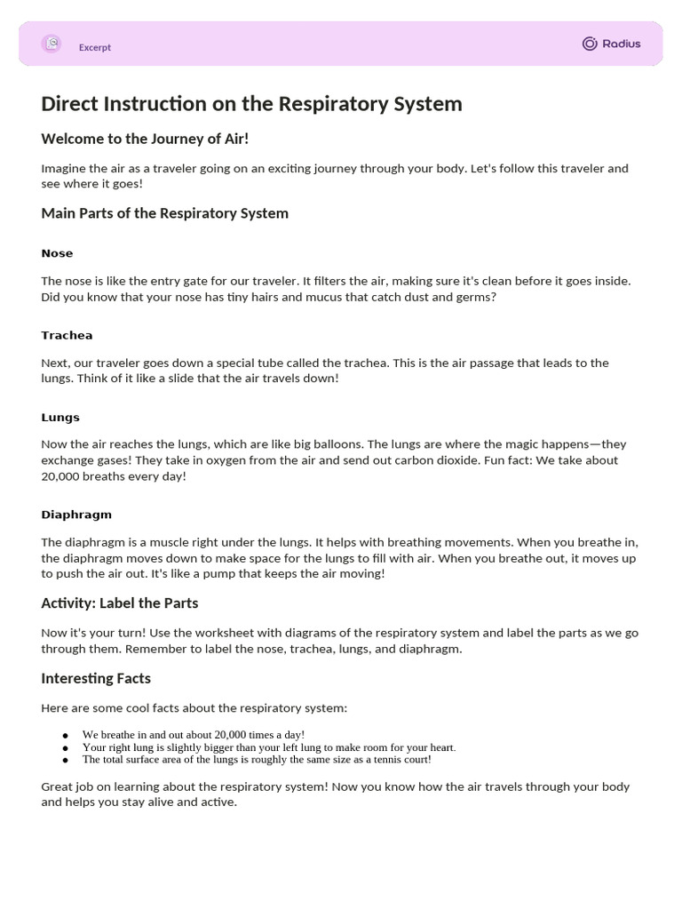Custom Reference Sheet - Direct Instruction On The Respiratory System | PDF