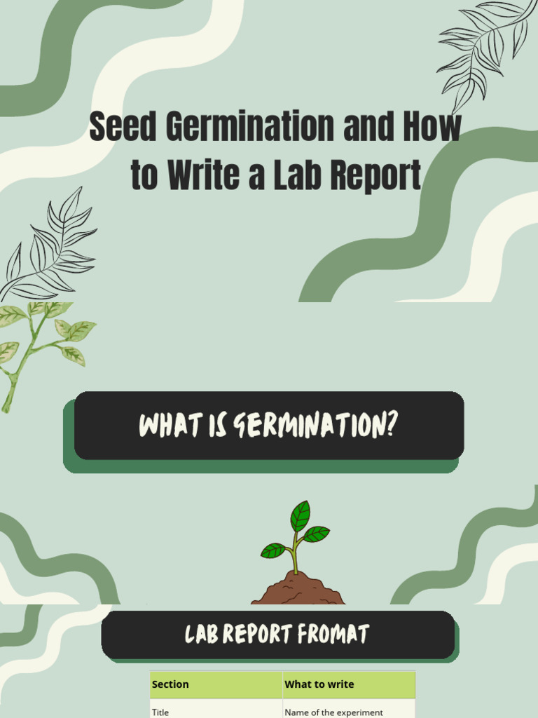 Seed Germination Lab Report Guide | PDF