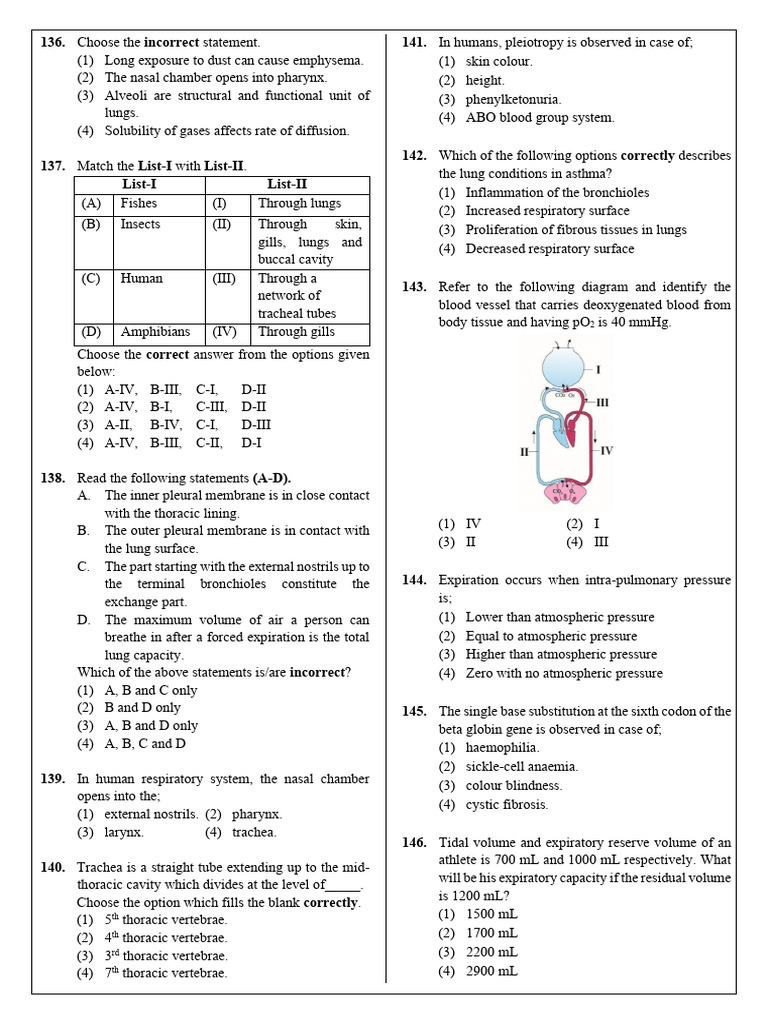 Breathing & Exchange Ms 04 - 31 Aug 2025dropper 3questions | PDF | Lung ...
