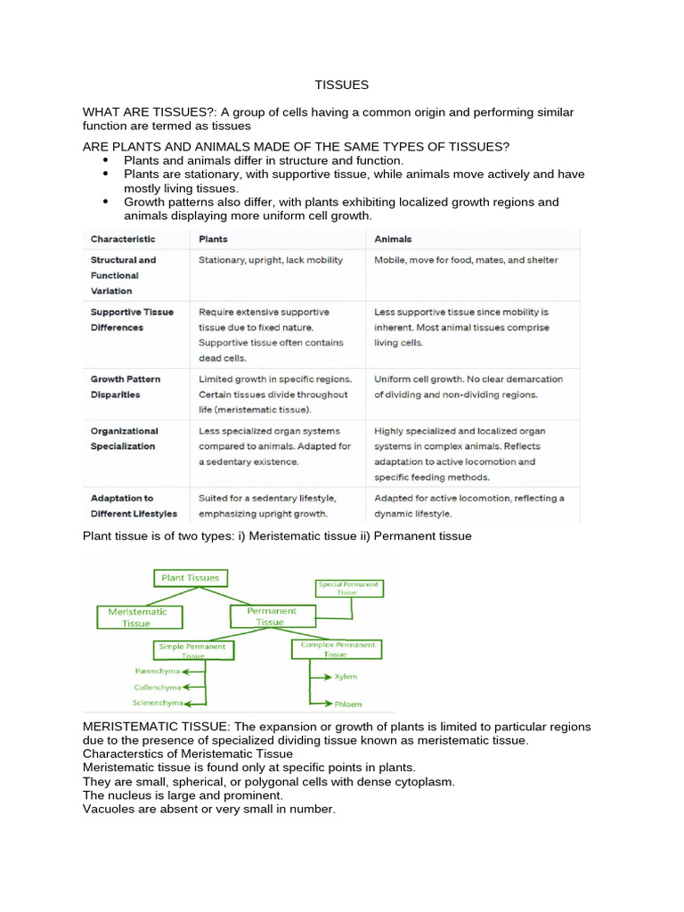 CBSE Class 9 TISSUES Notes | PDF | Tissue (Biology) | Muscle