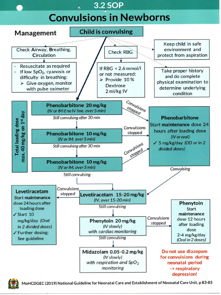 3.2 Convulsions in Newborns SOP | PDF