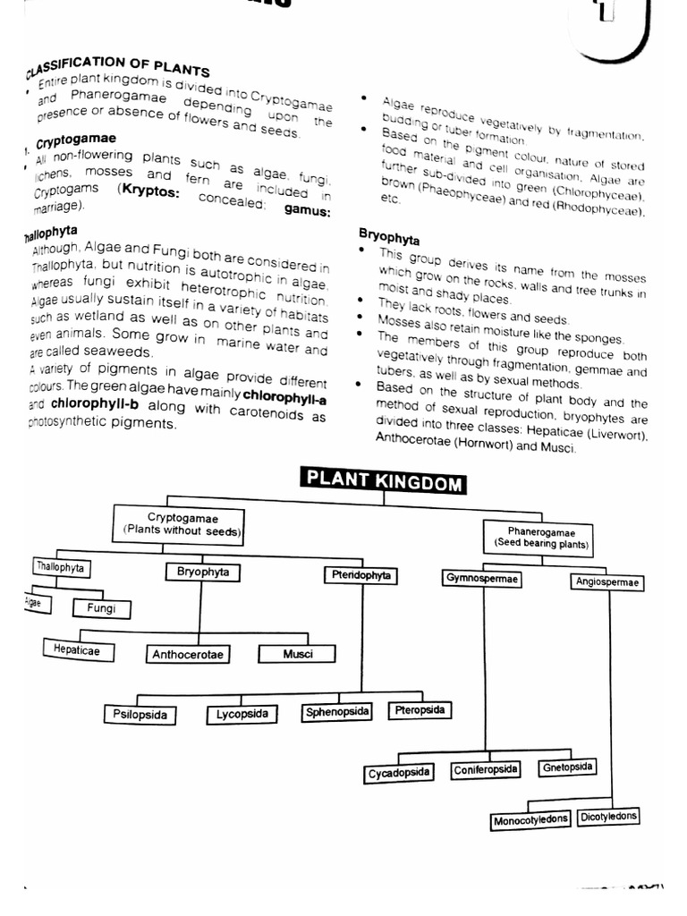 Classification of Plant and Animal Kingdom | PDF