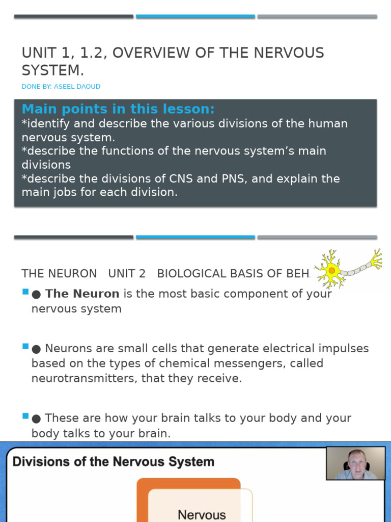 Unit 1, 1.2, Overview of The Nervous System.: Main Points in This ...