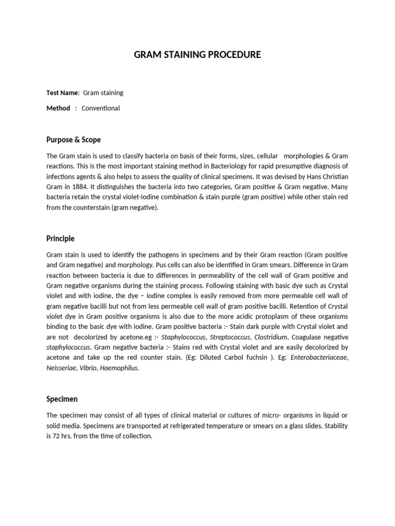 Gram Staining Procedure | PDF | Staining | Gram Positive Bacteria