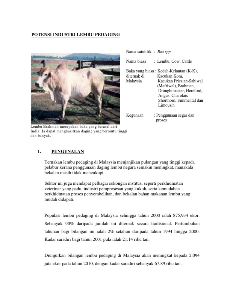 Lembu | PDF
