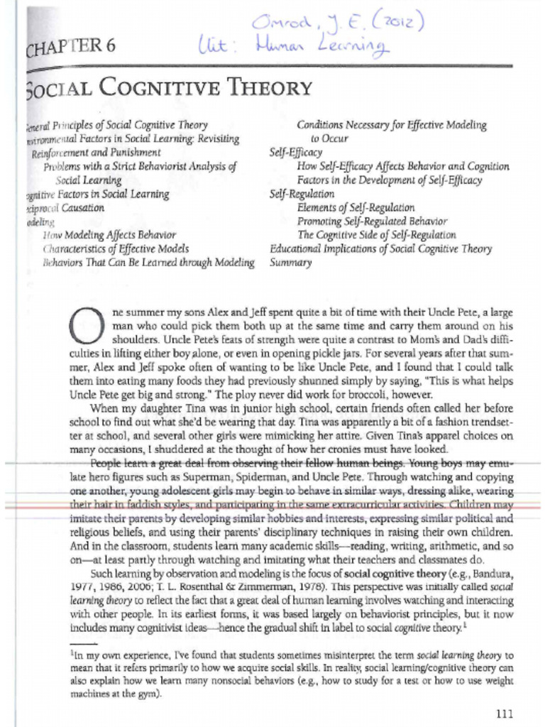 Social Cognitive Theory | PDF