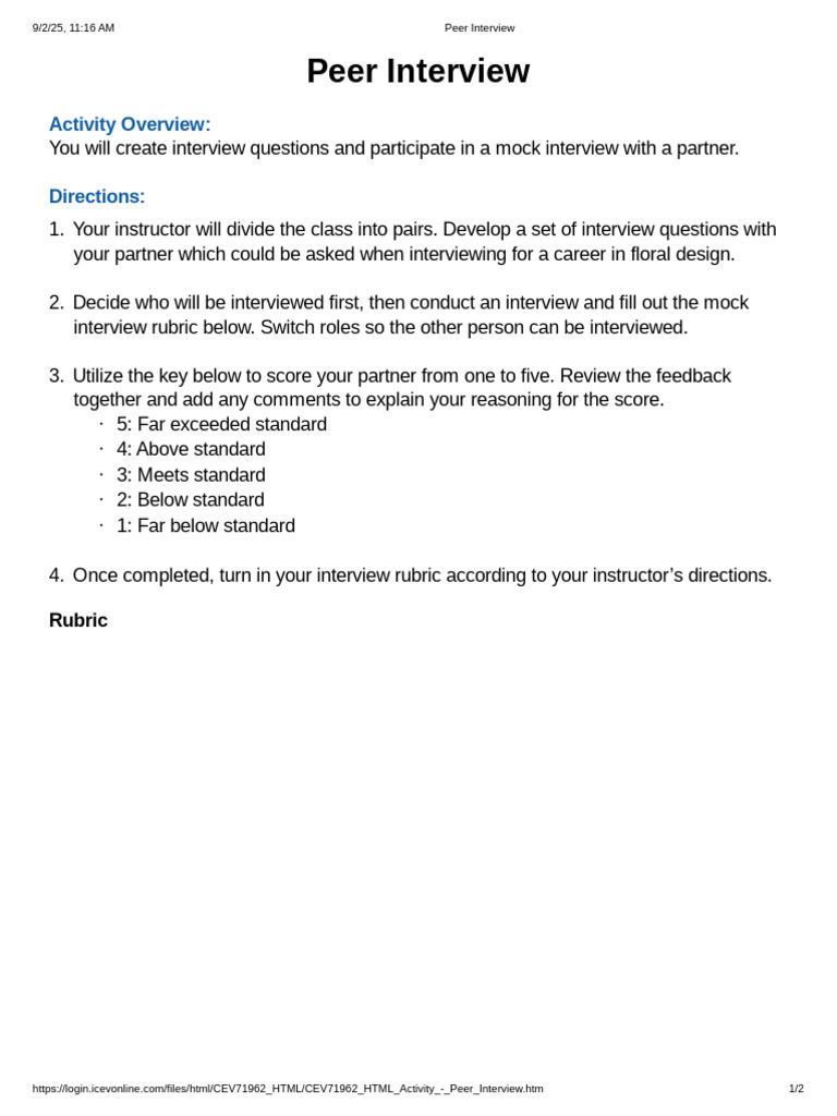 Peer Interview | PDF