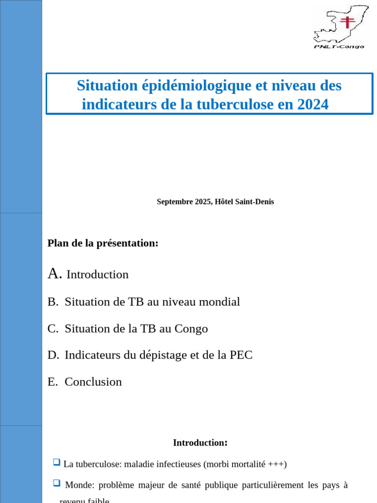 Situation de TB 2024 VF | PDF | Tuberculose | Maladies et troubles humains