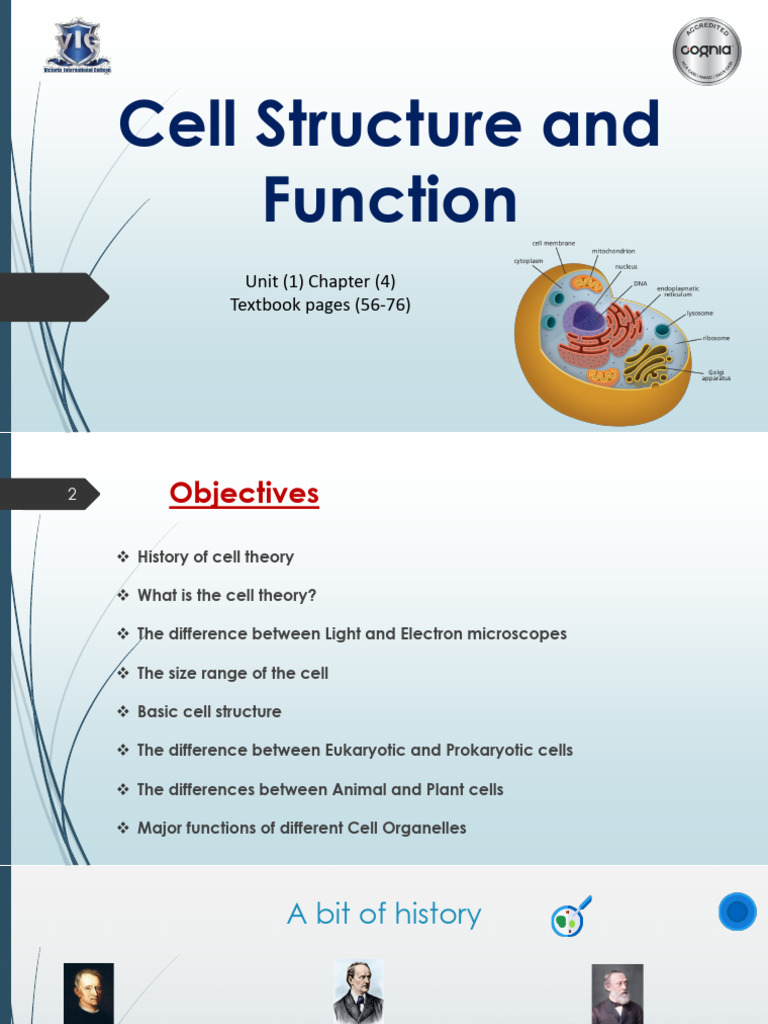 AP Biology - Cell Structure and Function - G12 | PDF | Cell (Biology ...