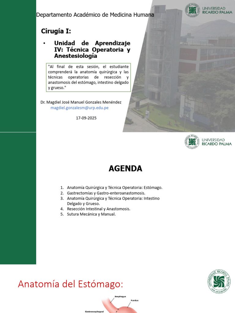 Técnicas de Resección Gástrica en Cirugía | PDF | Intestino grueso ...