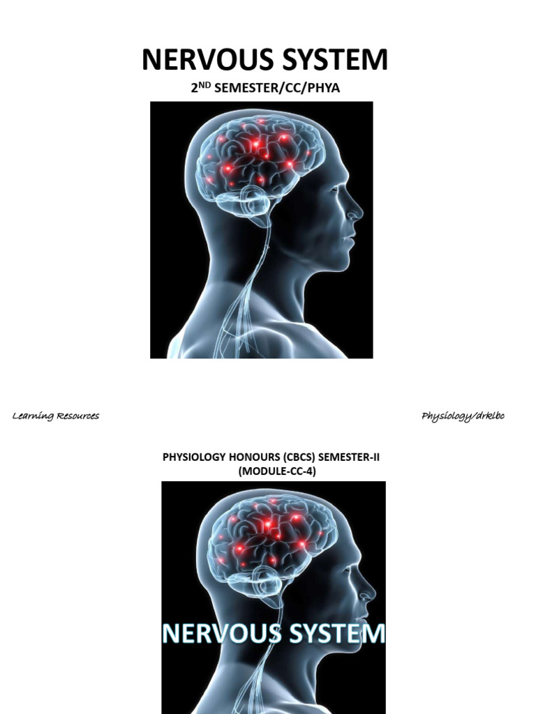 Nervous System Cc2 Compressed | PDF | Ct Scan | Magnetic Resonance Imaging