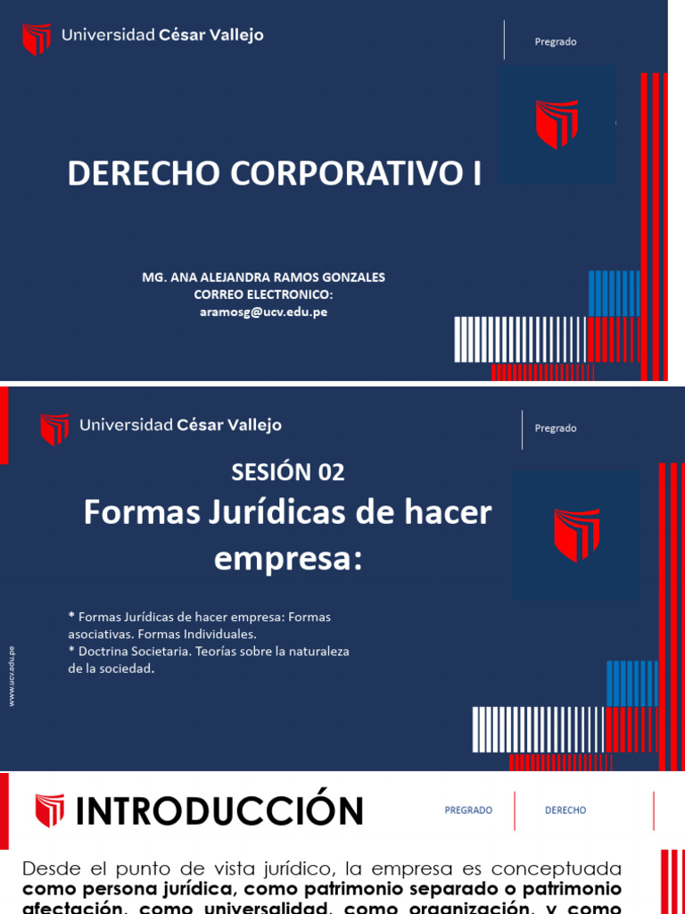 Sesión 2 - Ok | PDF | Sociedad de responsabilidad limitada | Camaradería