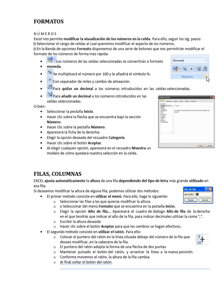 Formatos y Edición en Excel | PDF | Hoja de cálculo | Microsoft Excel