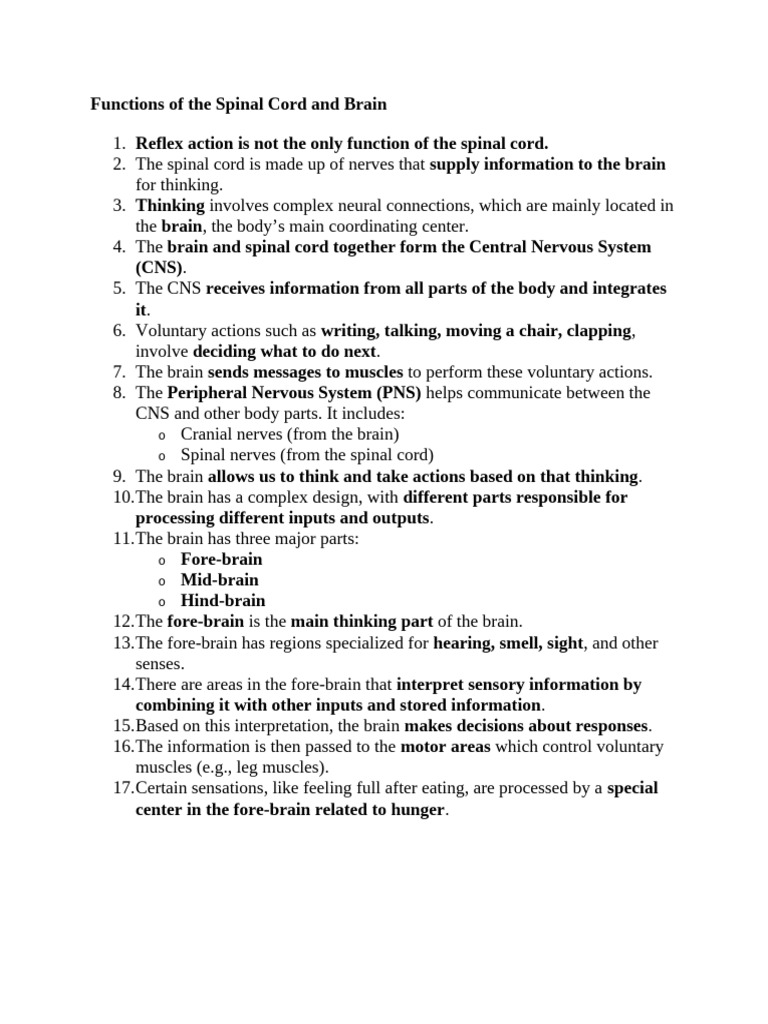 Functions of The Spinal Cord and Brain | PDF