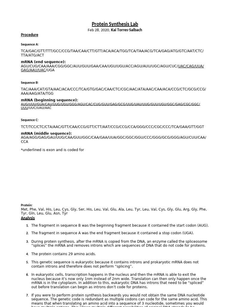 Biology Lab Report - Protein Synthesis | PDF | Genetic Code | Messenger Rna