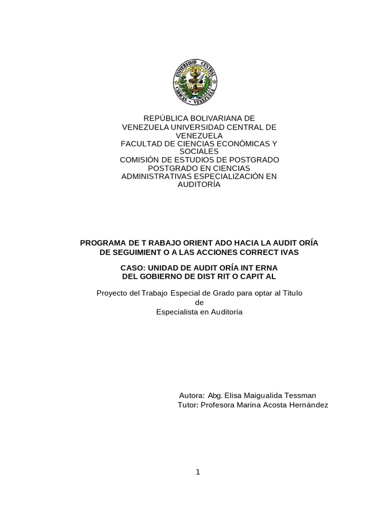 Tesis Tessman en Proceso 2 | PDF | Auditoría | Planificación