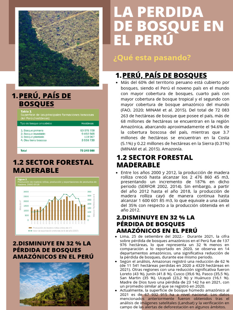 La Perdida de Bosque en El Perú1 | PDF | Perú | Los bosques