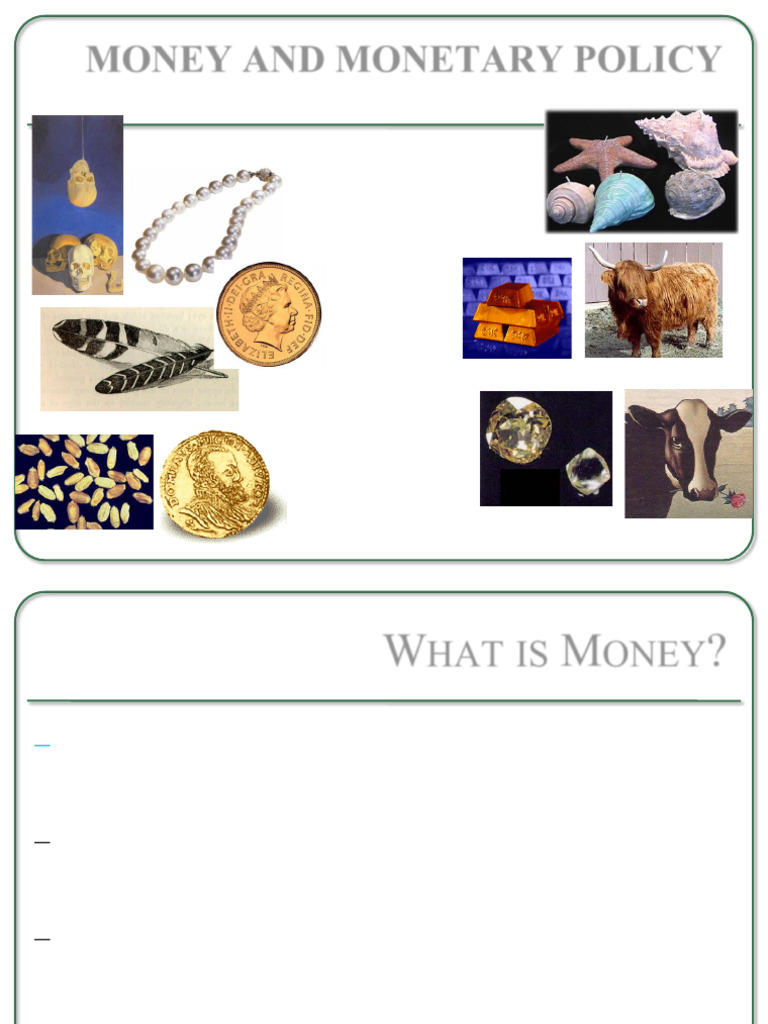Understanding Money and Monetary Policy | PDF | Money | Money Supply