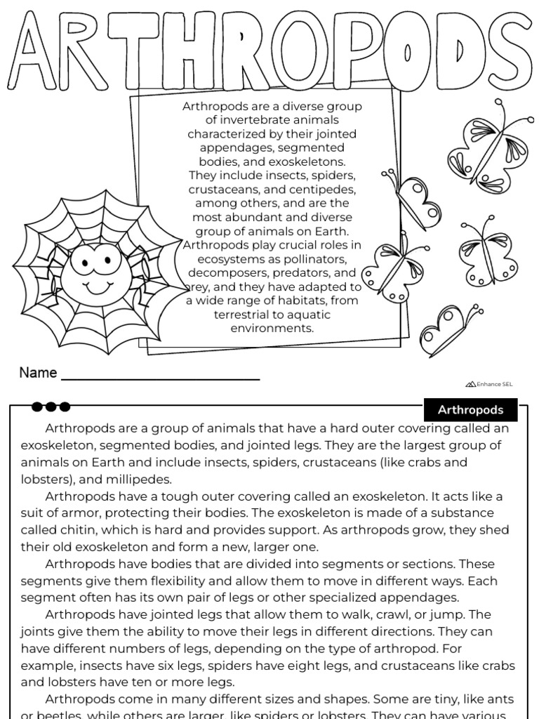 Kami Export - MADELINE CABRERA ALCANTARA - Arthropods and Insects ...