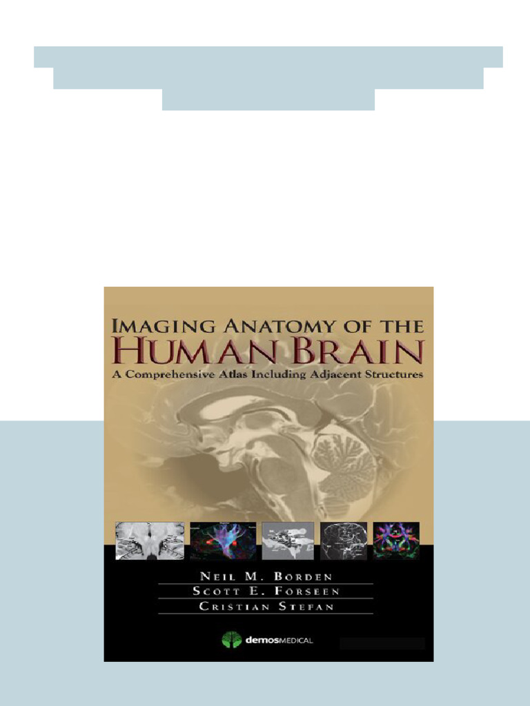 Imaging Anatomy of The Human Brain A Comprehensive Atlas Including ...