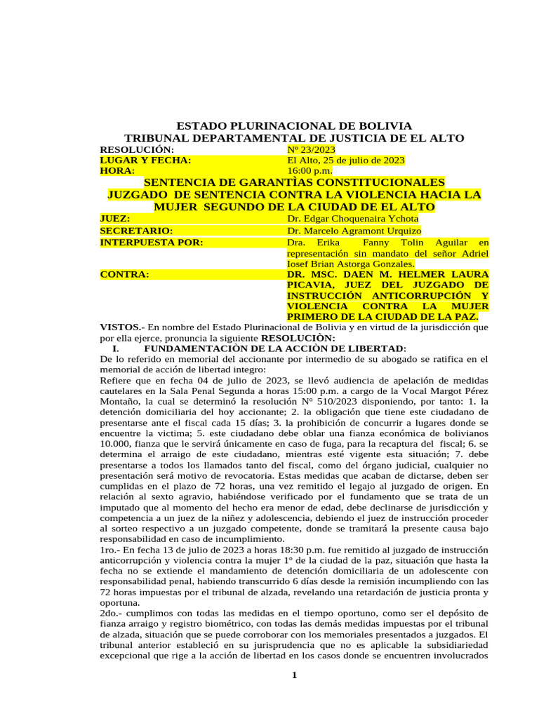 Accion de Libertad Adriel Iosef Astorga Gonzales | PDF | Mandato ...