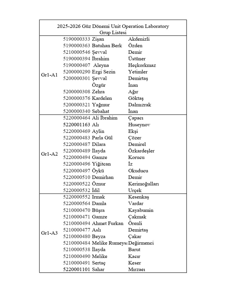 Grup Liste 031025 | PDF